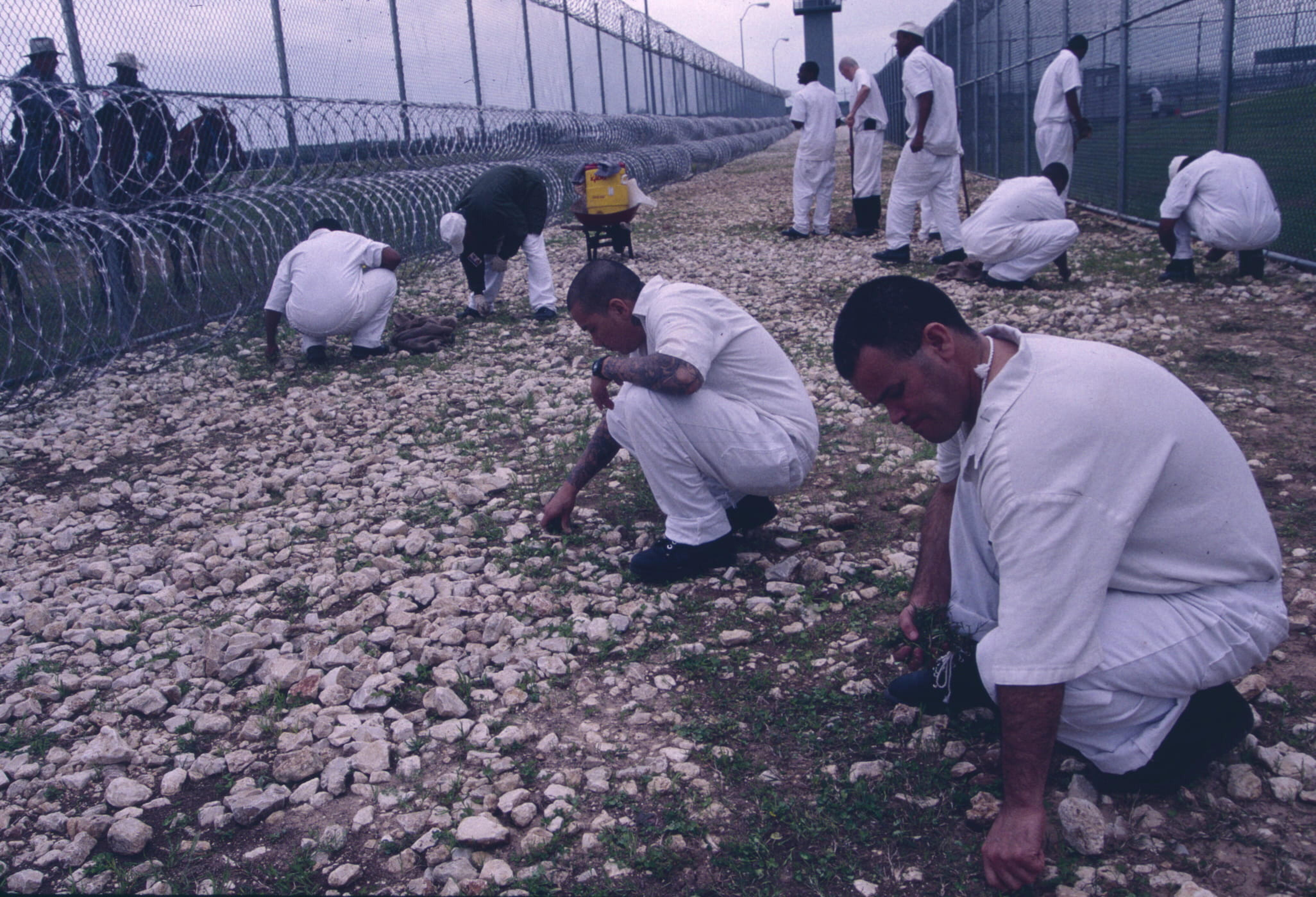 Comment se procurer de la weed en prison. Guide pratique - Radio Nova