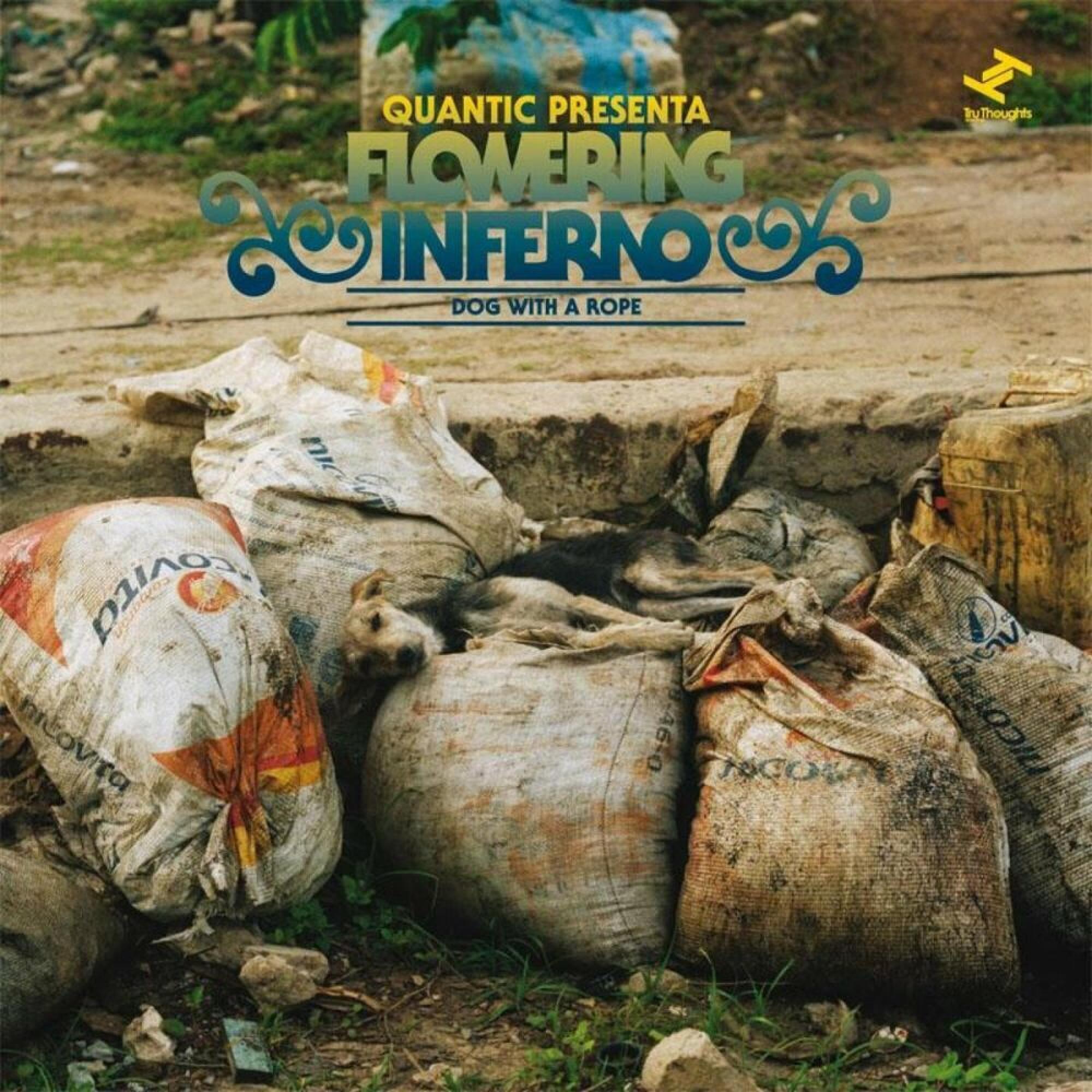 FLOWERING INFERNO – NO SOY DEL VALLE – Radio Nova