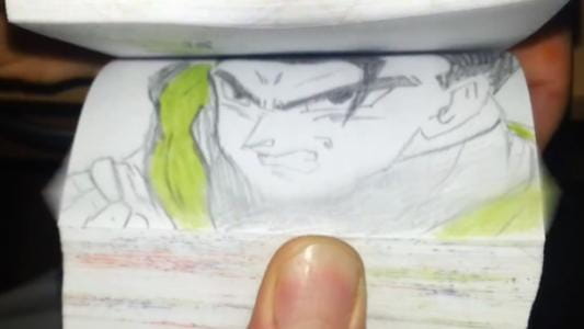 Dragon Ball Z Flipbook - Radio Nova